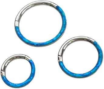 Amazon.com: ssh 1 Pc 16g (6 mm) 316L Surgical Steel Opal Front Edge Hinged Segment Ring Septum ...