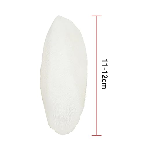 Cuttlefish Bone for Birds with Metal Holder, Cuddle Bone, Bird ...