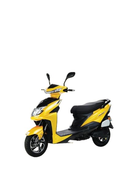 Electric Scooty Scooter E-Scooty E-Bike Battery Bike Electric Two ...