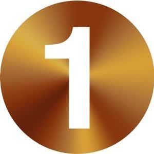 Amazon.com: Number One Decal (Metallic Copper, 8 inch x 8 inch ...