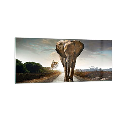 Glasbild Elefant – Die 15 besten Produkte im Vergleich & Angebote ...
