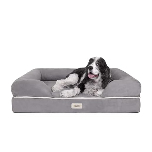 8 Best Dog Beds For Boxers [2025] | PetStruggles
