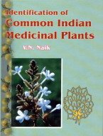 Buy Identification of Common Indian Medicinal Plants Book Online at Low ...