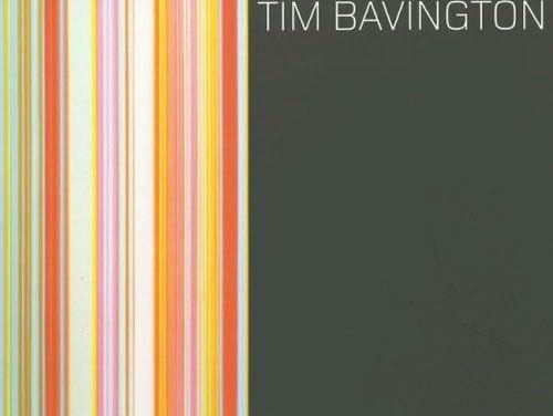 Tim Bavington: Tim Bavington, Dave Hickey: 9783865212856: Amazon.com: Books