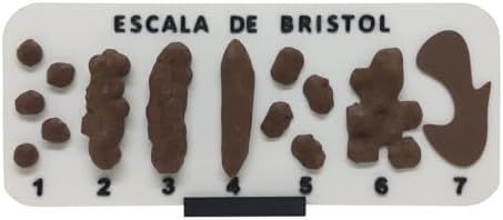 Escala De Bristol com Suporte Tabela Fezes Cocô 3D com Números | Amazon ...