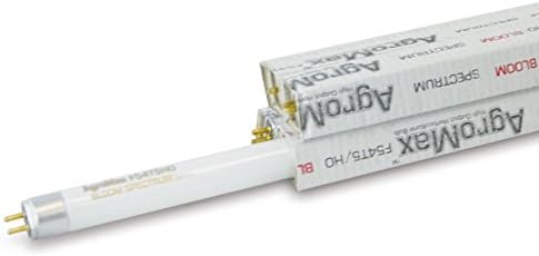 Amazon.com: Lightwise LWF54T5HO865 8pack 4 FT 6500K T5 HO Fluorescent ...