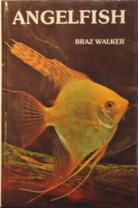 Buy Angel Fish Book Online at Low Prices in India | Angel Fish Reviews ...