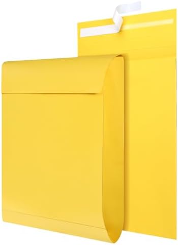 Amazon.com : Fuyoooo 25 Pcs Catalog Envelopes Large Kraft Envelopes 10 ...