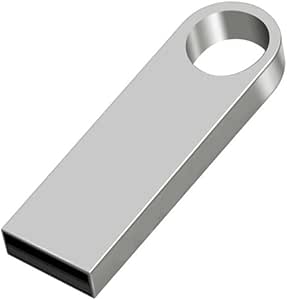 Blackpcs Unidad Flash USB Bulk Interfaz 2.0 Memoria USB Metálica (16GB, Plata) : Amazon.com.mx ...