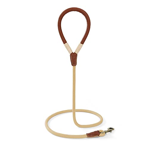 32 Dog Leashes for Fall