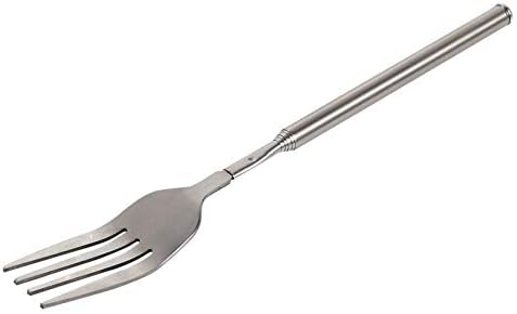 Amazon.com: Telescopic Fork, Stainless Steel Extendabl Long Handle Fork ...