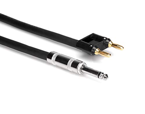 The 27 Best HOSA Speaker Cables of 2024 [Verified] - Cherry Picks