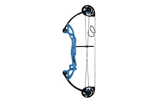 PANDARUS Compound Bow Archery for Youth and Beginner, Left Handed,19 ...