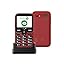 DORO Telefon – Doro Leva E10 – 4G Handy für Senioren – 2,4 Zoll ...
