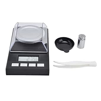 Amazon.com: EASTALOLO High Accuracy Electronic Digital Weight Scale ...