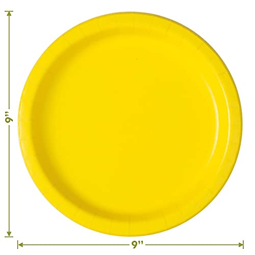 The 29 Best Paper Dinner Plates of 2025 [Verified] - Cherry Picks