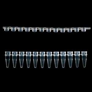 PCR TUBES, 12-STRIP W/ OPTICAL CAPS: Amazon.com: Industrial & Scientific