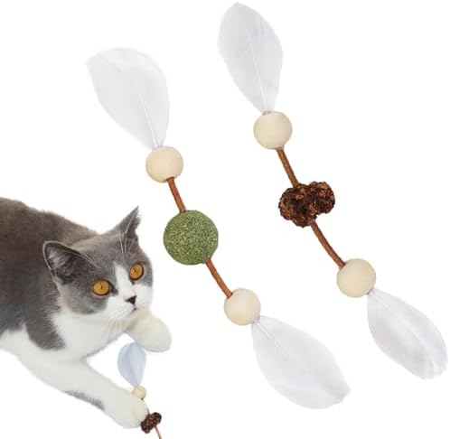 Amazon.com : PEEKAB Cat Toys Catnip Silvervine Fruit Feather Toy,Chew ...