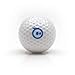 Buy Sphero Mini Golf: App-Enabled Programmable Robot Ball - STEM ...