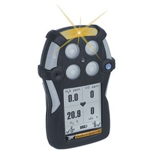BW Technologies QT-0W0M-R-B-NA GasAlertQuattro 2-Gas Detector with ...