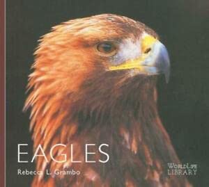 Eagles (WorldLife Library): Rebecca Grambo: 9781900455596: Amazon.com ...