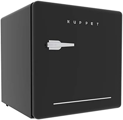 Amazon.com: KUPPET Retro Mini Refrigerator 2-Door Compact Refrigerator ...