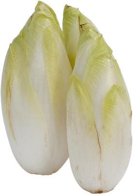 Amazon.com: White Endive Avg 8 Lb Case - Crisp, Slightly Bitter Gourmet ...