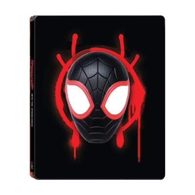 Amazon.com: SPIDER-MAN: INTO THE SPIDER-VERSE : Movies & TV