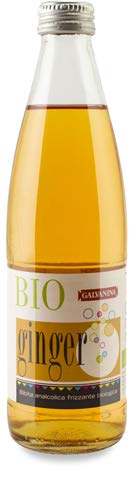 GALVANINA - BIO GINGER - 33 ml : Amazon.de: Lebensmittel & Getränke