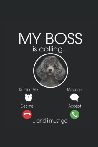 Pudel Kalender 2023 – Die 15 besten Produkte im Vergleich - HundeINFOPortal