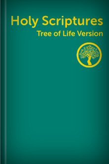 Holy Scriptures: Tree of Life Version 2013 Edition: Messianic Jewish ...