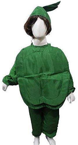 Buy Party-Hut Capsicum (Shimla Mirch) Vegetable Kids Fancy Dress ...