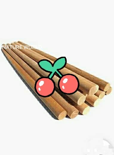 Nature World Premium Natural Extra Strong and Flexible Wooden Support ...