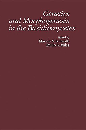 Amazon.in: Buy Genetics and Morphogenesis in the Basidiomycetes Book ...