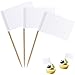 Amazon.com | Blank Toothpick Flag Small Mini Labeling Marking DIY Stick ...