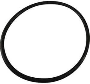 Amazon.com: Pac Fab Challenger Pinnacle Swimming Pool Pump Lid O-Ring 6 ...