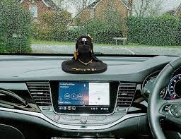 Buy Aarnish | Adiyogi Statue for Car Dash Board Online at Low Prices in ...