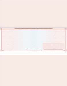 Amazon.com : High Security Check Paper - 50 Count, Blank Checks for ...