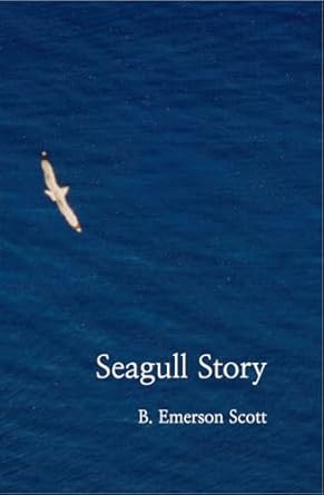 Seagull Story - Kindle edition by Scott, B. Emerson. Literature ...