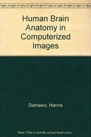 Human Brain Anatomy in Computerized Images: 9780195082043: Medicine ...