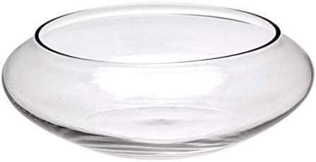 Amazon.com: Flat Glass Bowl (25cm) : Everything Else
