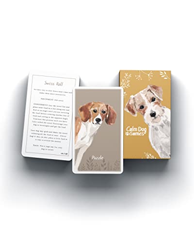 Are Springer spaniels easy to train? - Easy Spaniel Training