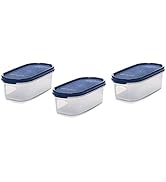 Buy Signoraware Oval BPA Free Plastic Container Set | Set of 4 Pieces ...