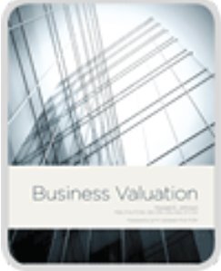 Business Valuation: Howard Johnson: 9781553856580: Amazon.com: Books