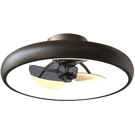 CIKASS Ceiling Fan with Lights Dimmable LED Reversible Blades Timing ...