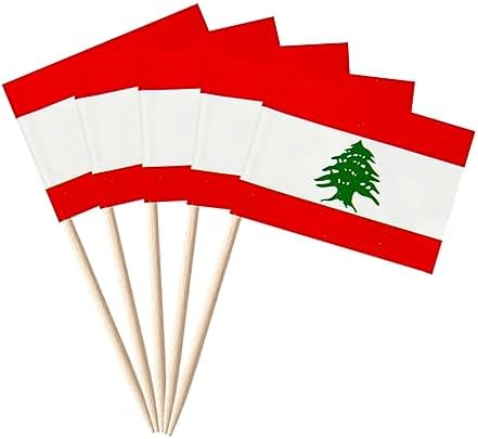 Amazon.com: 25 Pack Hand Held Small Mini Flag Lebanon Lebanese Flag ...