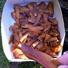 Sky fruits seeds, seeds for Sky fruit (100 seeds) : Amazon.in: Garden ...