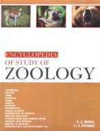 Buy Encyclopaedia of Study of Zoology in 3 Vols Book Online at Low ...