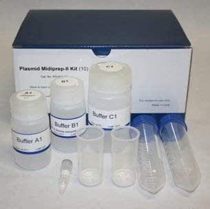 Amazon.com: Plasmid midiprep-II kit (10 preps) : Industrial & Scientific