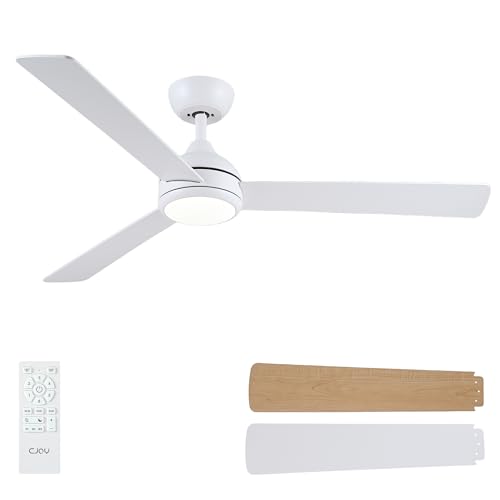 A Comprehensive REVIEW of the CJOY 42 inch White Ceiling Fans with ...